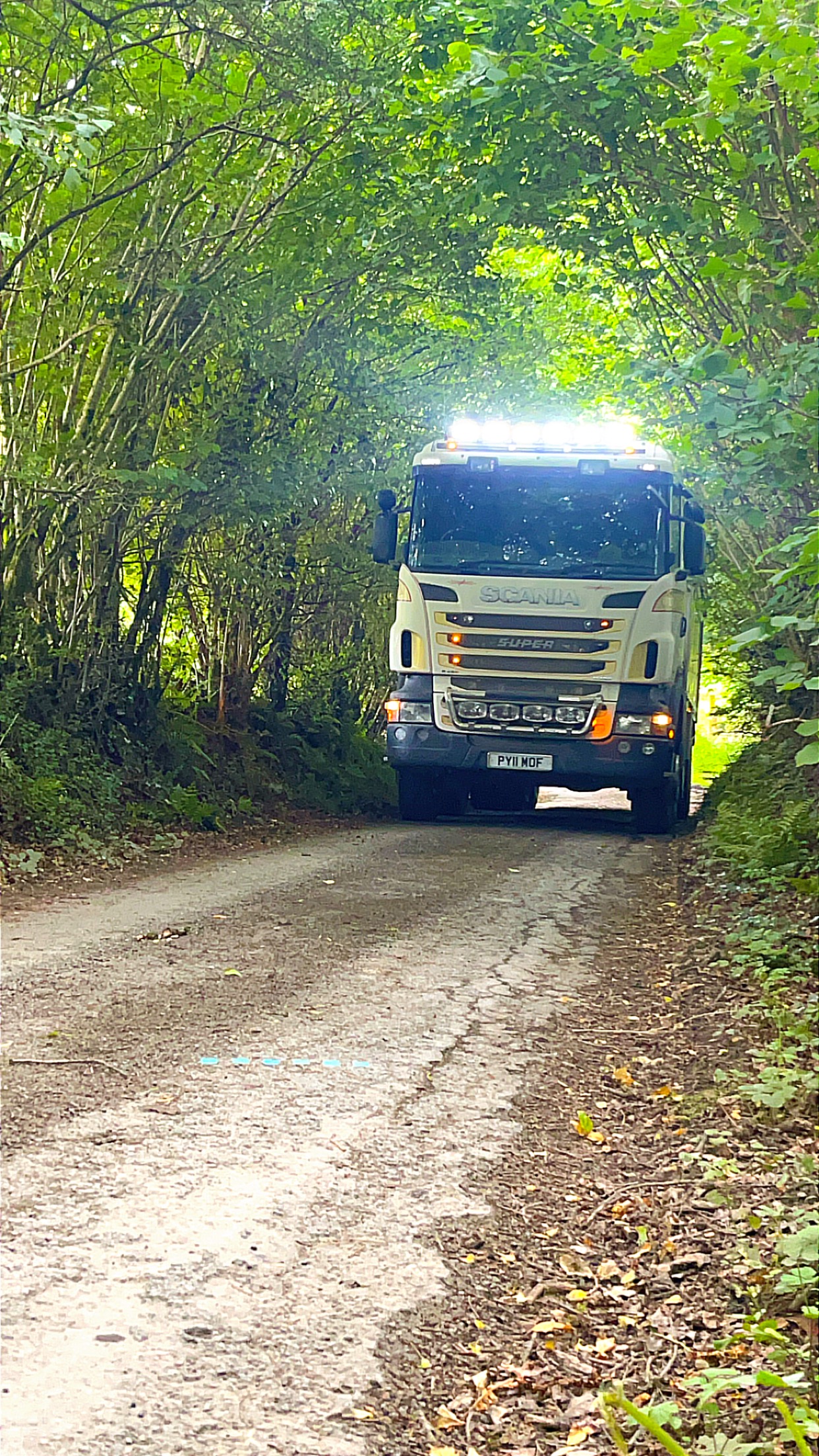 Services – William & Co Transport LTD